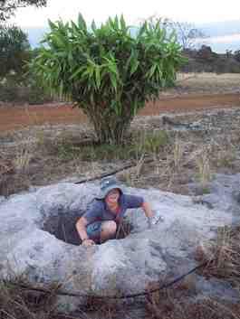 Fred, a promising young rhizome wrestler, excavates a hole prior to ...